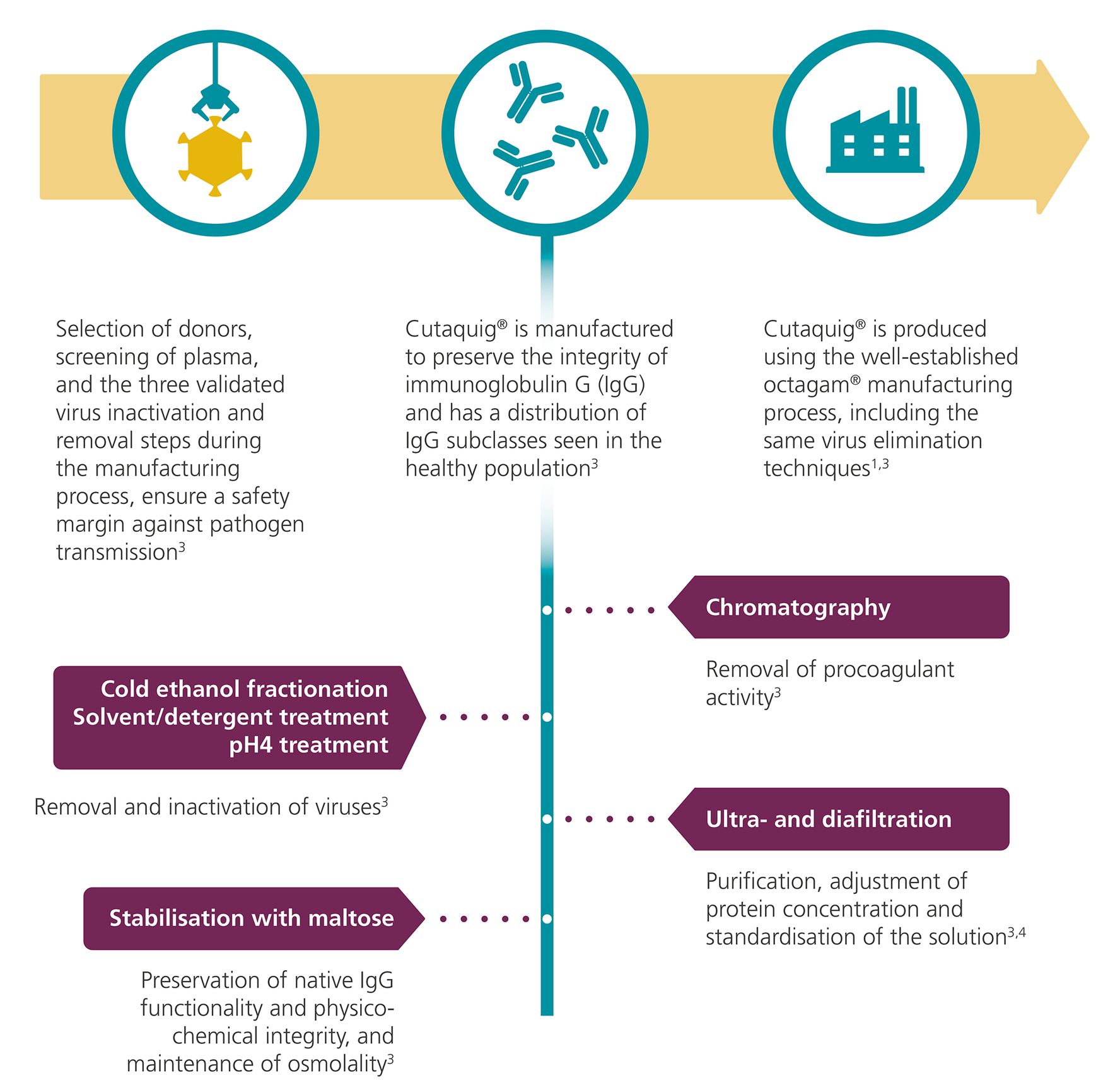 Safety and Tolerability - Cutaquig